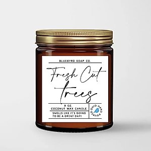 Bluebyrd Soap Co. Fraiser Fir & Pine Scented Candle Jar 9oz. | Amber Glass Holiday Candle Made with Natural Coconut Wax & Non-Toxic Fragrance (Fresh Cut Trees, 9oz)