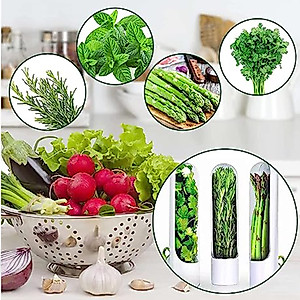 3PCS Herb Saver for Refrigerator, Herb Keeper-Vegetable Preservation Bottle, Cilantro Containers For Refrigerator, Fresh Herb Keeper for Cilantro, Mint, Asparagus, Keeps Greens Fresh for 2-3 Weeks