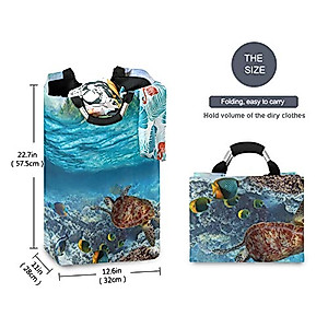 XLING Collapsible Laundry Basket Tropical Fish Ocean Animal Turtle,Foldable Laundry Hamper Washing Clothes Basket Bin Storage Bag Organization with Handles