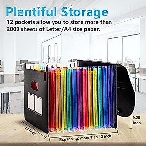 Sooez 13 Pocket Expanding File Folder, Premium Monthly Document Organizer, Accordian File Folder Organizer, Accordion Folder, Letter A4 Paper Document Storage Organizer, Black