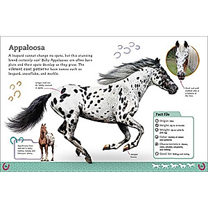 The Everything Book of Horses and Ponies (Everything About Pets)