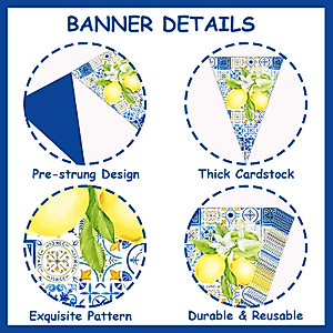 Blue and Lemon Party Decorations - 3pcs Lemon Bunting Banners, Lemonade Hanging Triangle Banner Garland for Lemon Wedding Engagement Bridal Shower Bachelorette Baby Shower Birthday Party