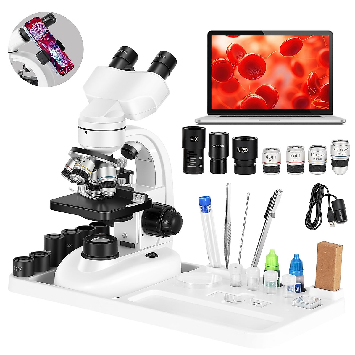 Compound Binocular Microscope, WF10x and WF25x Eyepieces,40X-2000X Magnification, LED Illumination Two-Layer Mechanical Stage (Binocular Four-Hole Microscope)