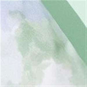 TARVIT Umbrellas Fully-automatic Folding Umbrella Sunscreen Sun Umbrella Compact Portable Sunny Rain Dual-use Umbrella