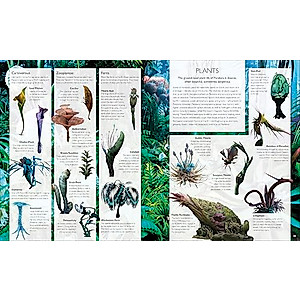 The World of Avatar: A Visual Exploration