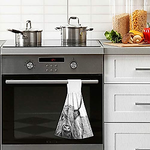 Qilmy Hand Towels Set of 2, Absorbent Hanging Towels with Loop & Hook, Dishcloths Wash Cloth for Kitchen Bathroom, Highland Cow