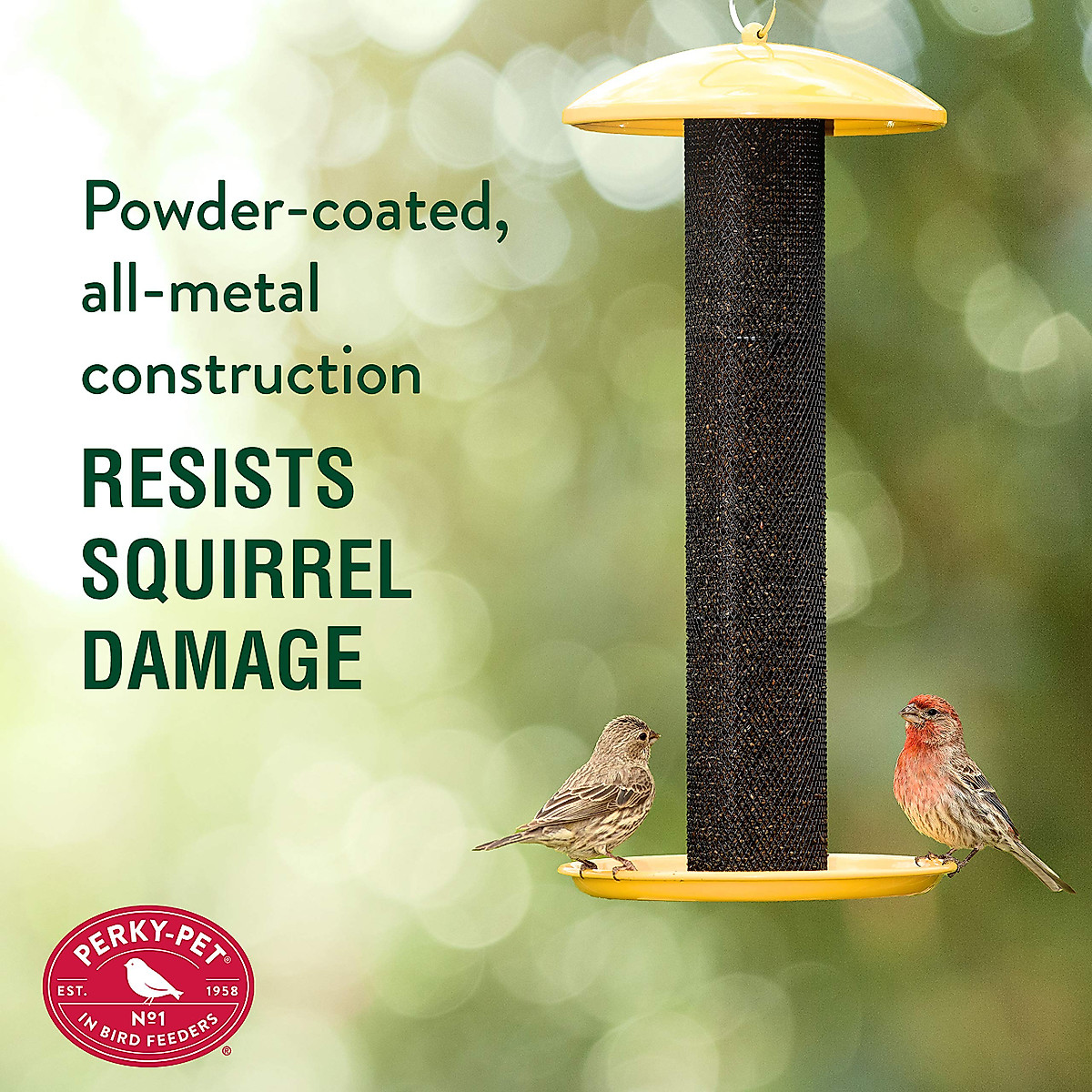 Perky-Pet YSSF00346-2 Straight-Sided Thistle Seed Wire Mesh Tube Finch Bird Feeder