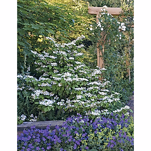 Complete Book of Outdoor DIY Projects: The How-To Guide for Building 35 Projects in Stone, Brick, Wood, and Water (Creative Homeowner) Step-by-Step Instructions for Stylish Lawn & Garden Improvements