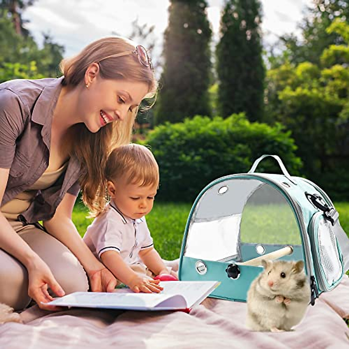 Bird Travel Carrier with Standing Perch,Lightweight Breathable Parrot Outgoing Bags, Small Pet Carrier Bag with Shoulder Strap,Bird Rat Guinea Pig Squirrel Carrier