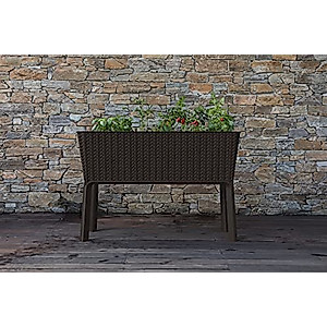 Keter Splendor 31.7 Gallon Raised Garden Bed with Self Watering Planter Box and Drainage Plug-Perfect for Growing Fresh Vegetables, Flowers and Herbs, Brown