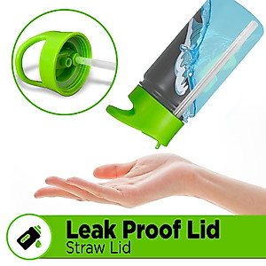 Dinosaur Water Bottle, 14 OZ, Leak Proof, 36 Hours Cold, Dishwasher Safe Lid, Removable Handle, Wide Mouth Double Wall Vacuum Insulated Stainless Steel Water Bottle For School, Straw, Bottle For Boys