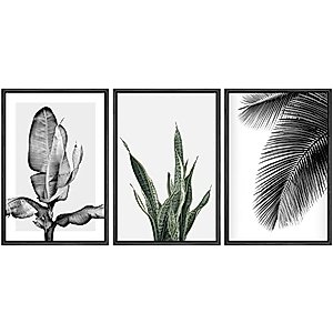 SIGNWIN Framed Canvas Print Wall Art Trio of Jungle Palms & Snake Succulents Floral Plants Photography Modern Art Minimalist Black and White for Living Room, Bedroom, Office - 16"x24"x3 Black