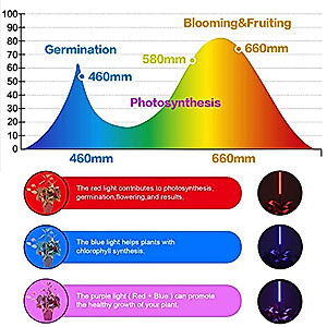 WEDCOL Grow Lights for Indoor Plants Red Blue Spectrum Plant Grow Light Adjustable Gooseneck 135 LED Grow Lamp with 3/9/12H Timer, 10 Dimmable Levels & 3 Switch Modes