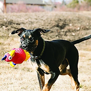 KONG, Wiggi Alligator, Small