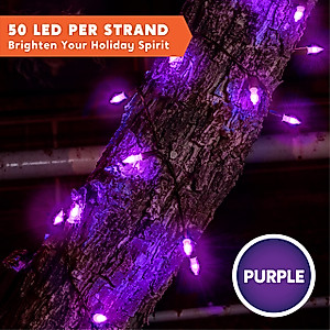 Joiedomi 100 (2x50) LED Halloween String Lights 67.2FT (2x33.6) Green Wire for Indoor Outdoor Holiday Décor Halloween Event Decoration, Tree, Eaves, Haunted House Theme Party (Purple)