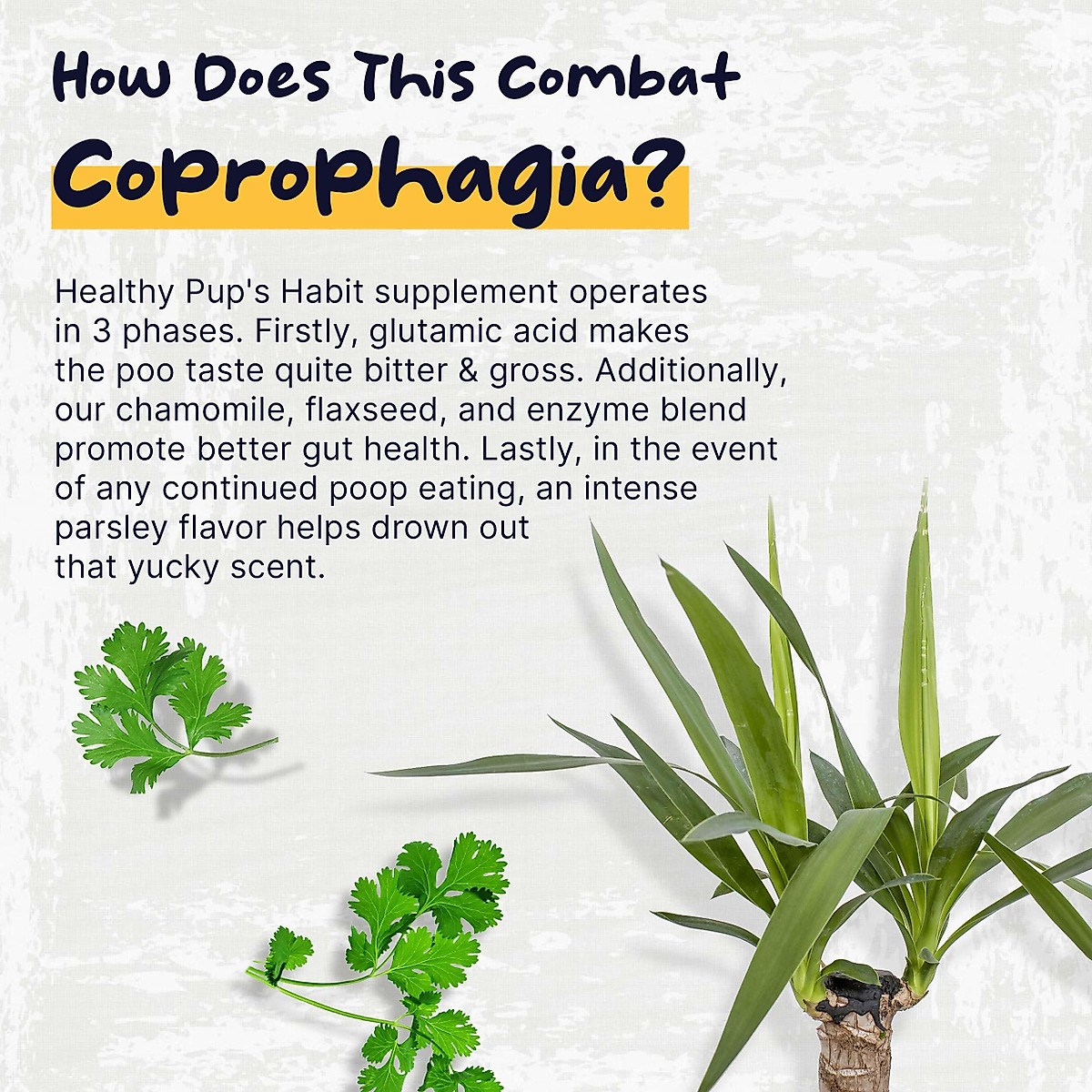 Stop Poop Eating for Dogs 120 Soft Chews - Dog No Scoot Coprophagia Stool Eating Deterrent with Bad Breath Remover and Digestive Enzymes for Gut Health and Nutrient Absorption