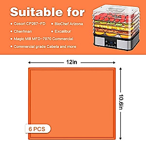 6PCS Silicone Dehydrator Sheets with Edge, Dehydrator Trays with Silicone Pot/Scraper High Temperature Resistance Reusable Silicone Trays Compatible with Cosori CP267-FD for Fruits Herbs Meat Vegetables