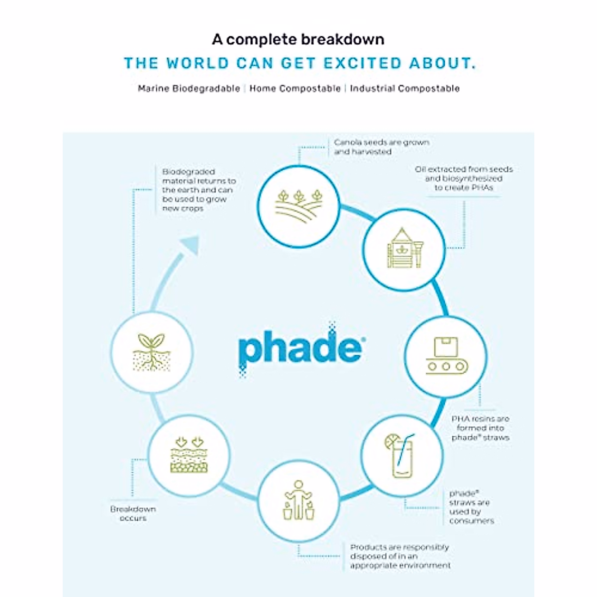 phade Eco-Friendly 7.75" Jumbo Drinking Straws, Un-wrapped 600 Count - Sustainable Marine Biodegradable, Compostable, 1 Pack