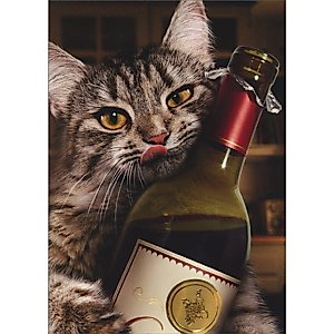 Avanti Press Cat Licking Lips While Holding Wine Bottle Alcohol Themed Funny/Humorous Birthday Card