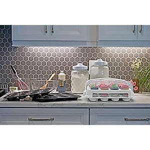 Top Shelf Elements Cupcake Carrier With Two Muffin Pan/Cupcake Pan Stylish Cupcake Carrier With Handle Carrier Holds 24 Cupcakes Muffin Tin Makes 12 Cupcakes each Non Stick Cupcake Tray For Baking