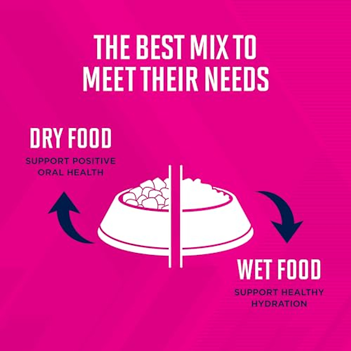 Eukanuba Adult Small Breed Dry Dog Food, 4.5 lb