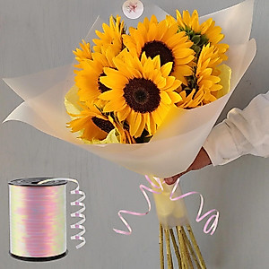 500 Yards Iridescent White Ribbon Metallic Balloon Curling Ribbon for for Party Festival Art Craft Decor,Florists, Weddings, Crafts and Gift wrap (Iridescent White)