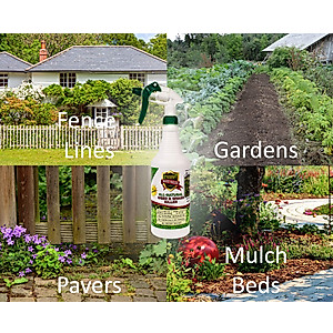 Natural Armor Weed and Grass Killer All-Natural Concentrated Formula. Contains No Glyphosate (128 OZ. Gallon)