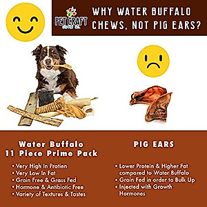 Pet Craft Supply Pure Natural Grass Fed Grain Free Water Buffalo Variety Pack of 11 Durable Tough Dog Chew for Aggressive Chewers and Puppies