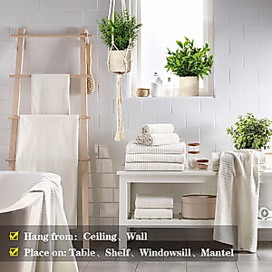 Artificial Plants 3 Pack Mini Fake Hanging with Macrame Plant Hangers Decorative Faux Greenery Decor for Shelves Wall Kitchen Farmhouse Bathroom Home Office