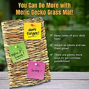 Meric Leopard & Crested Gecko Grass Mat, 4 Pack, Straw Bedding Floor Mat for Nesting Cage, Glass Tank Background Décor, Use as Peg Board in Tank or Cage to Hang Air Plants, Java Fern, Bird Toys