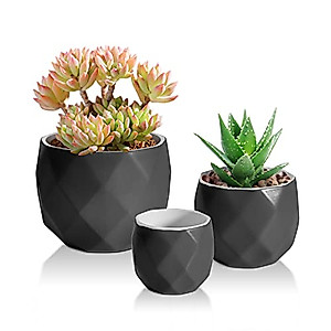 T4U Succulent Pots with Drainage Hole 3-Pack - Small Ceramic Succulent Planter for Tiny Cactus, Herb, Bonsai Plant, Mini Flower Pot for Indoor Home Office Living Room Decor (No Plants)