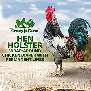 Hen Holster Bird Diaper Harness - Wrap Around for Hens, Roosters, Ducks & Geese, Leak-Proof Bird Diaper with Sewn-in Liner, Secure Hook & Loop Closure - S/M, Red Bandana