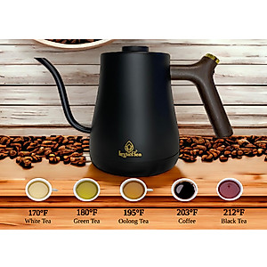 Gooseneck Electric Kettle Leyla's Ultra Fast Boiling Water, Kettle with 5 Variable Presets, 100% Stainless Steel, Leak-Proof Design, Boil-Dry Protection 1L, Matte Black