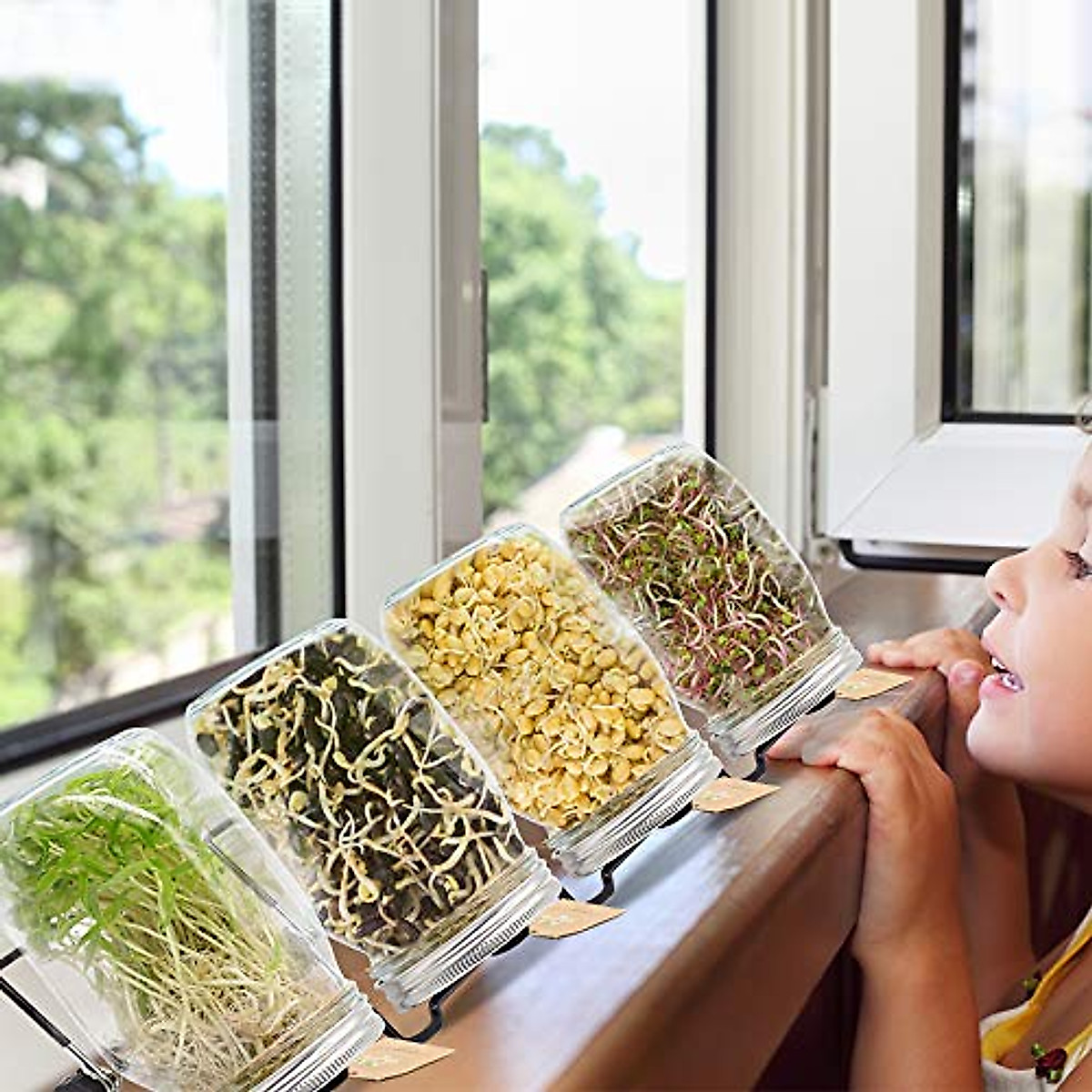 LIVEBAY Sprouting Jar Kit Stainless Steel Kitchen Sprouting Lids and Stands Seed Sprouter Set Organic Healthy Fresh 1L Wide Mouth Mason Jar for Broccoli, Alfalfa, Mung Beans