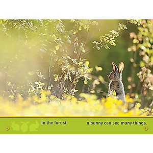 Hop, Bunny! (National Geographic Kids Readers, Pre-Reader): Explore the Forest
