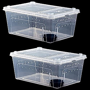 kathson 2PCS Reptile Feeding Box Portable Small Snake Terrarium Habitat Mini Pet Breeding Cage Hatching Container Transparent Gecko Houses for Small Frog Tarantula Spider Scorpion (White)