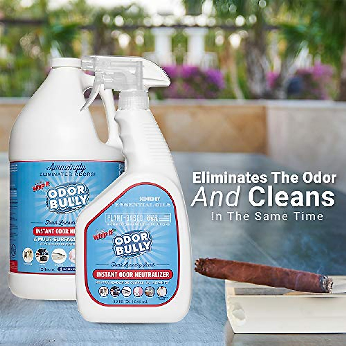 Whip-It Odor Bully Instant Odor Neutralizer Spray - Stain Remover and Odor Eliminator for Home and Car in One - Gallon and 32oz Spray