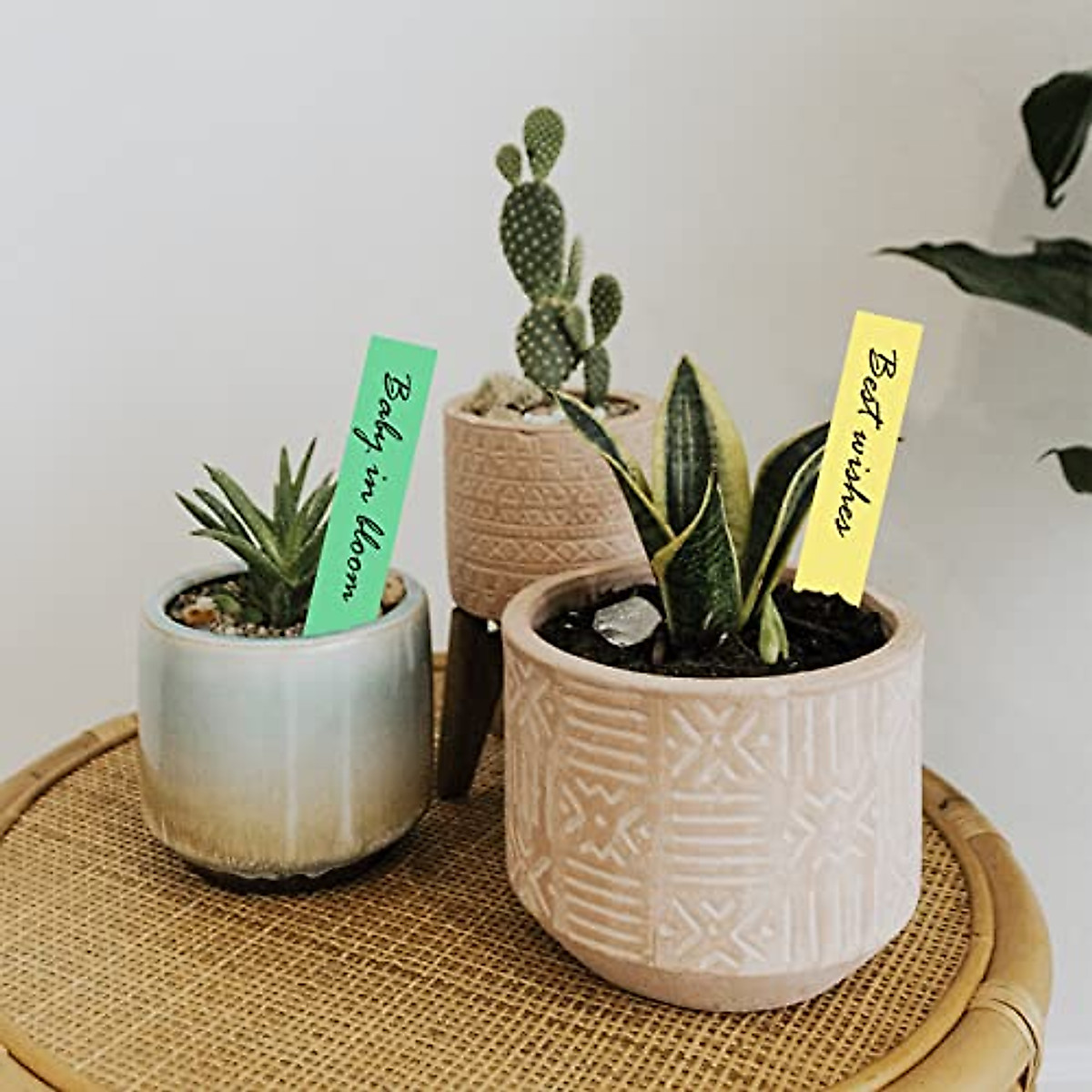 100 Pcs Waterproof Garden Plant Labels for Vegetables & Seeds