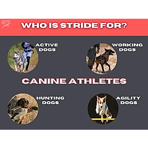 Homescape World Stride by Helluva Dog — Joint Support Meal Topper for Active Sporting Dogs — Green Lipped Mussel & Turmeric Powder for Mobility & Recovery 4oz