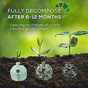 ANECO 100% Compostable Trash Bags 2.6 Gallon, Extra Thick Kitchen Small Compost Bags for Countertop Bin (100 Count)