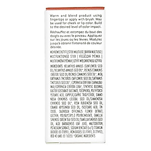 WELL PEOPLE - Nudist Multi-Use Color Stick | Clean, Non-Toxic Beauty (Nude Peach 11)