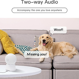 LAXIHUB 360° Pet Camera with Phone App, Indoor Security Camera for Baby/Dog, P2 Pan/Tilt Pet Monitor with Super IR Night Vision, Motion Detection & 2-Way Audio, Works with Alexa & Google Assistant
