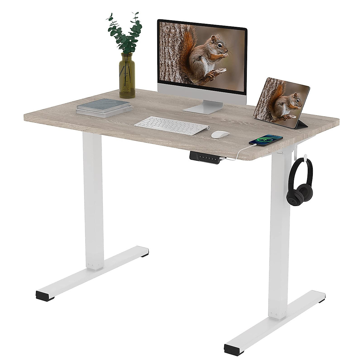 SANODESK Standing Desk Adjustable Height, 48x24 Inch Electric Standing Desk with Headphone Hook, Stand up Desk for Home Office Computer Desk，Handset with 4 Memory Presets and Charging Ports
