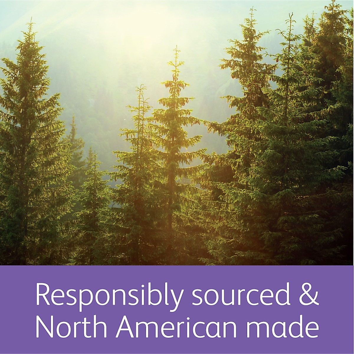 Xerox® Bold Professional Premium Quality Inkjet Or Laser Paper, 5 Reams, Letter Size (8 1/2" x 11"), Ream Of 500 sheets, 24 Lb, 98 Brightness, FSC® Certified