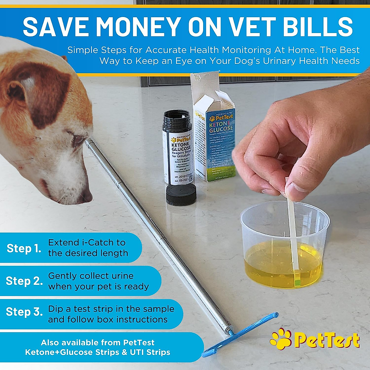 PetTest i-Catch Telescoping Dog Urine Catcher - 45-inch Extendable Dog Pee Stick Collector and Telescopic Pole Handle for Small and Large Breeds - Includes a Reusable Cup with Milliliter Markings