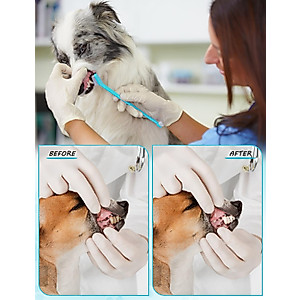 100 Pcs Dog Toothbrush Dog Tooth Brush Double Headed Dog Tooth Brushing Kit Soft Bristles Dog Tooth Brush Long Handle Toothbrush For Dogs Cat And Most Pets Toothbrush Best Dog Teeth Cleaning -Blue