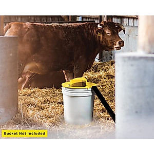 RinneTraps - Flip N Slide Bucket Lid Mouse Trap |Humane or Lethal| |Trap Door Style| |Multi Catch |Auto Reset| |Indoor Outdoor| |No See Kill| |5 Gallon Bucket Compatible| Made in USA (1)