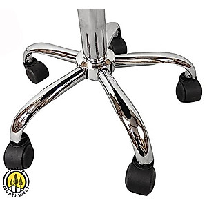 DevLon NorthWest Salon Stool with Back Rest Saddle Hydraulic Spa Stool (LIGHT PINK)