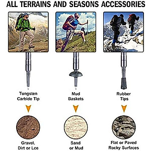 Hiking Pole Detachable Lightweight for Hiking Stick Walking Pole for Man Women