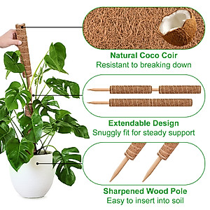 GROWNEER 24 Inch Moss Pole, 2 Pcs 15 Inch Stackable Totem Pole Plant Support, Moss Sticks for Indoor Plants with 15pcs Labels and 78in Garden Ties, Monstera Plant Stake for Climbing Plants Snake Plant